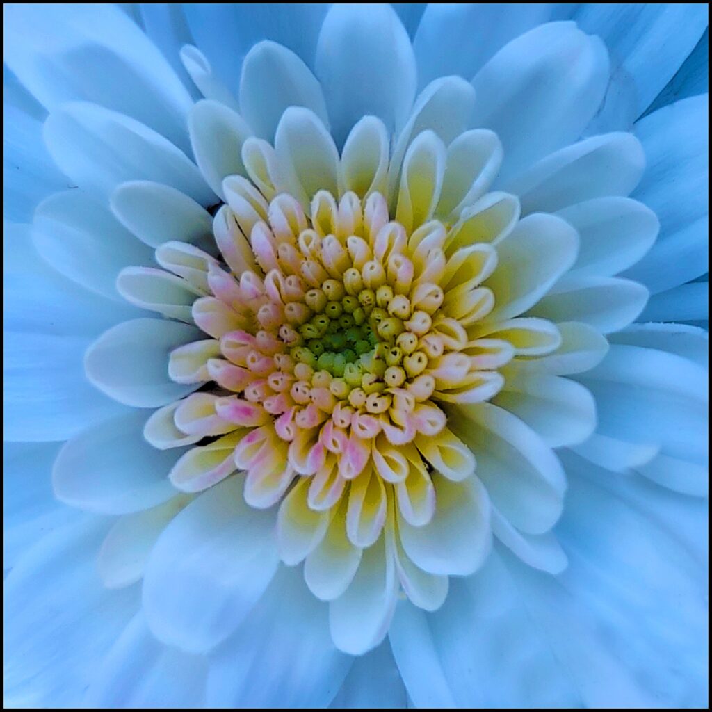 Dublin Photography Club Competition at Bloom 2023 - Bloom | Ireland's ...