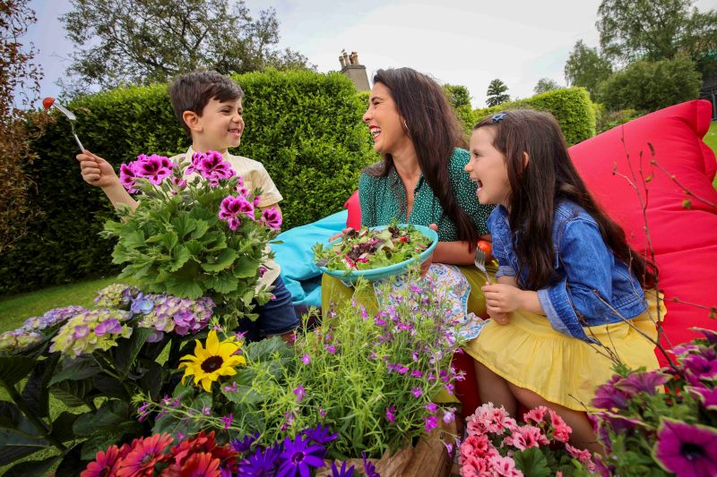 Gardening, Goodies and Giggles – Bord Bia Bloom announces full festival ...
