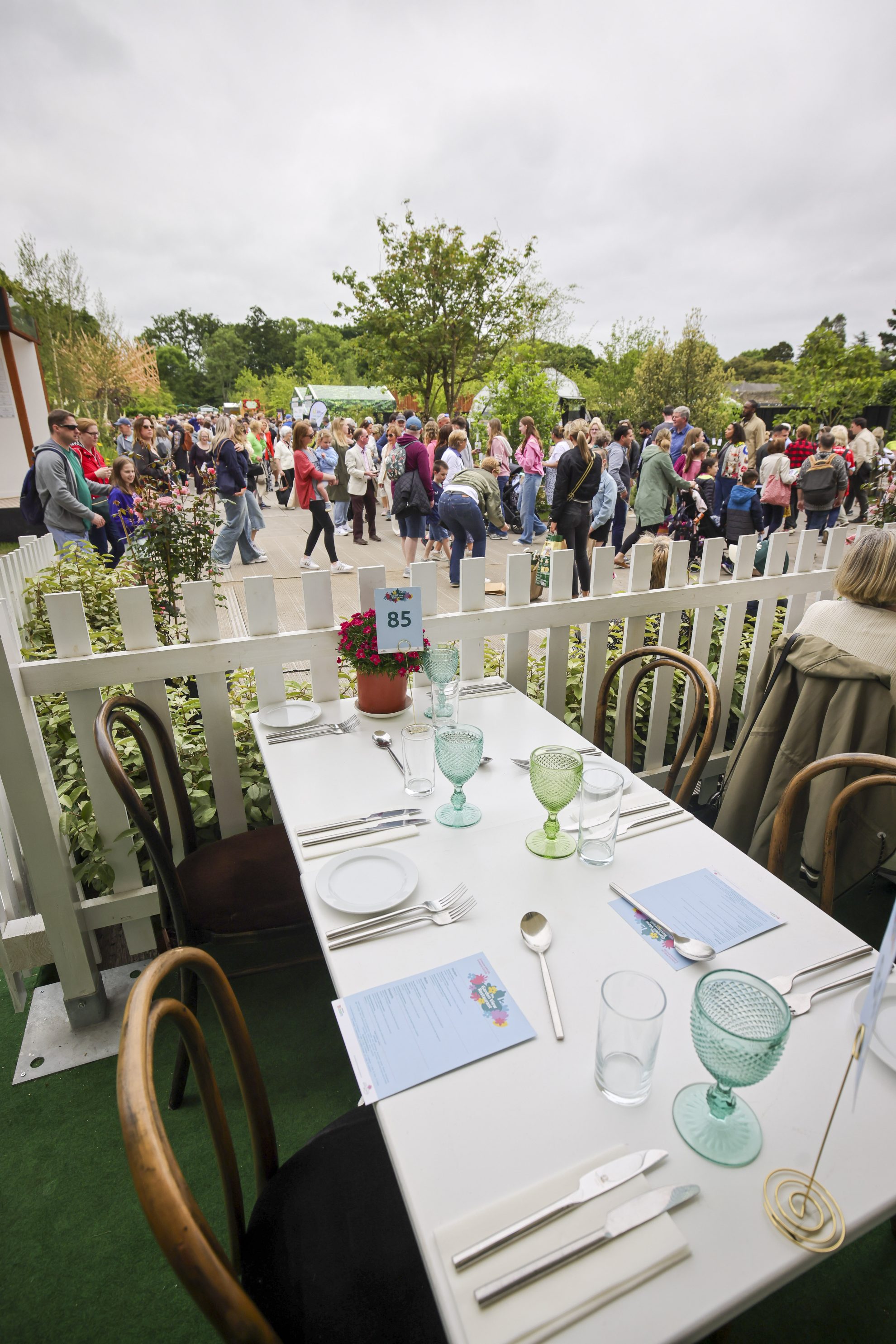 Win a great day out at Bord Bia Bloom 2025! - Bloom | Ireland's Largest ...