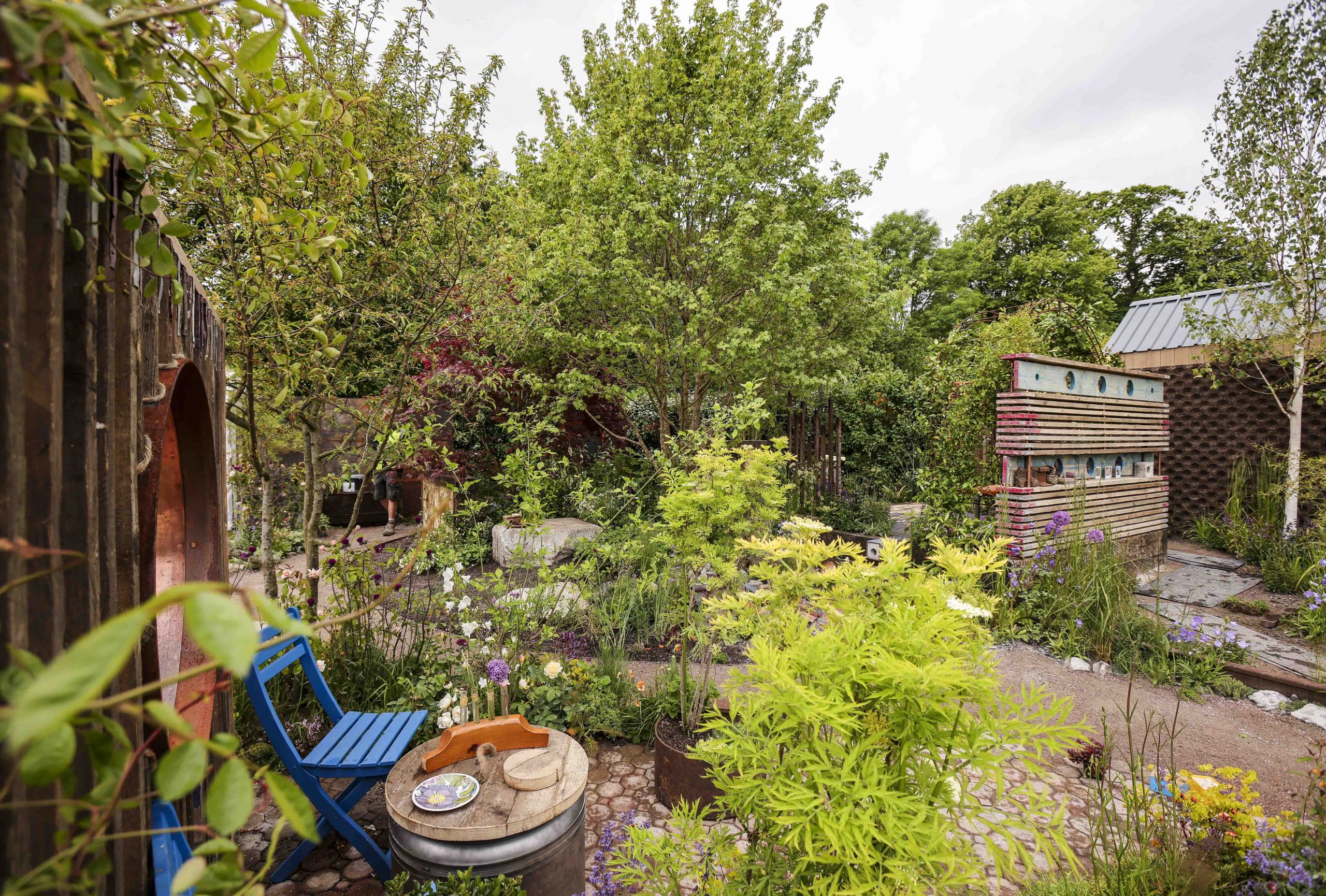 The European Commission’s ‘Renewed Blooms’ Garden - Medium Show Garden ...